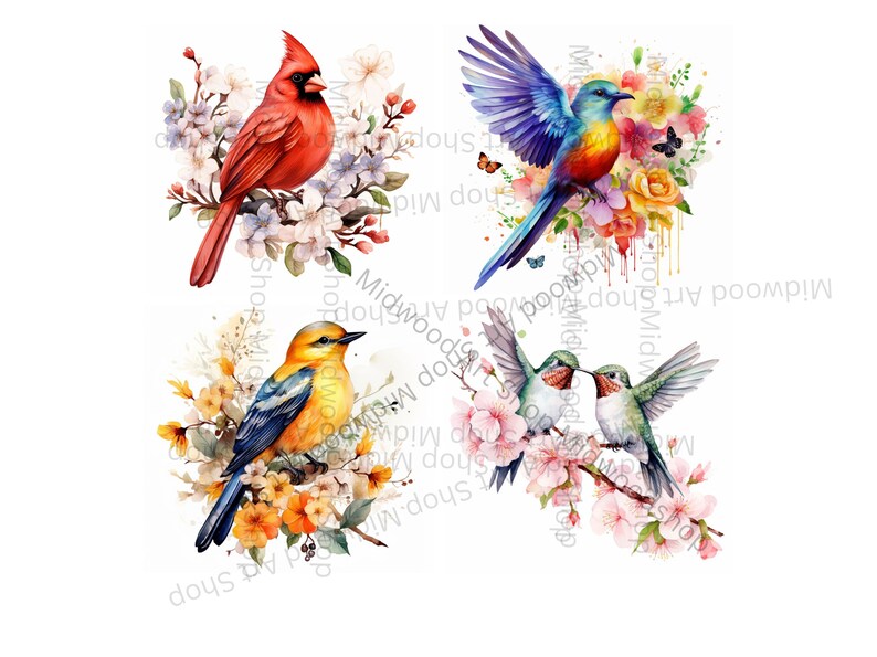 Watercolor Birds Clipart Bundle, Spring Birds Clipart, Birds Bundle ...