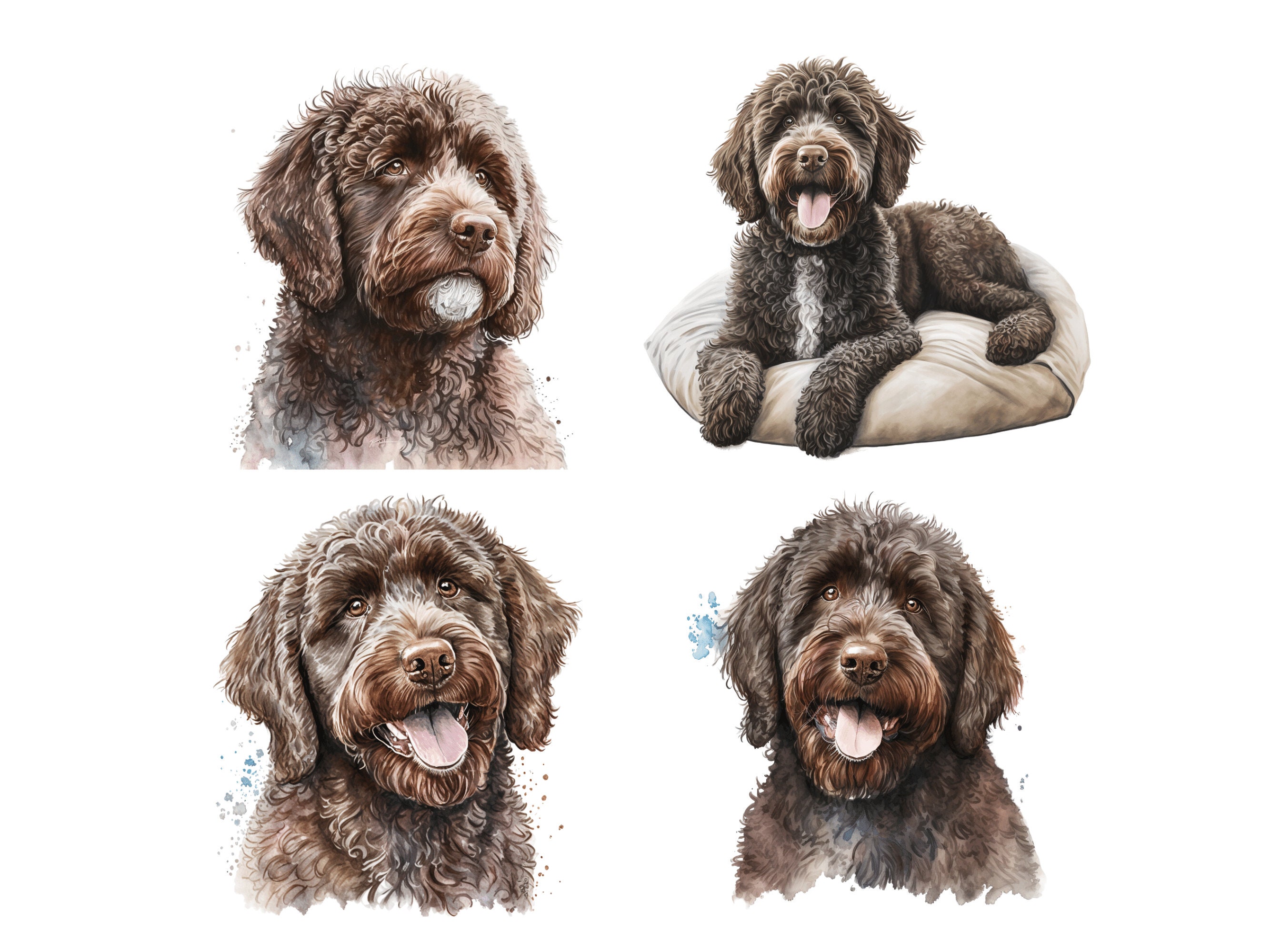 Chocolate Labradoodle Clipart Dog PNG Chocolate Goldendoodle chocolate ...