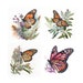 Monarch Butterfly Clipart Watercolor Butterfly PNG Floral Clipart ...
