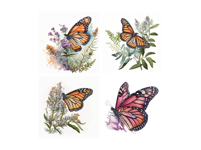 Monarch Butterfly Clipart Watercolor Butterfly PNG Floral - Etsy
