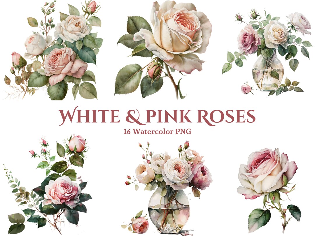 Pink and White Roses Clipart | Floral PNG | Watercolor Roses PNG ...