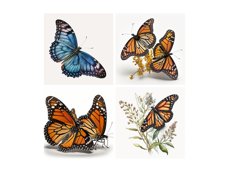 Monarch Butterfly Clipart Watercolor Butterfly PNG Floral - Etsy