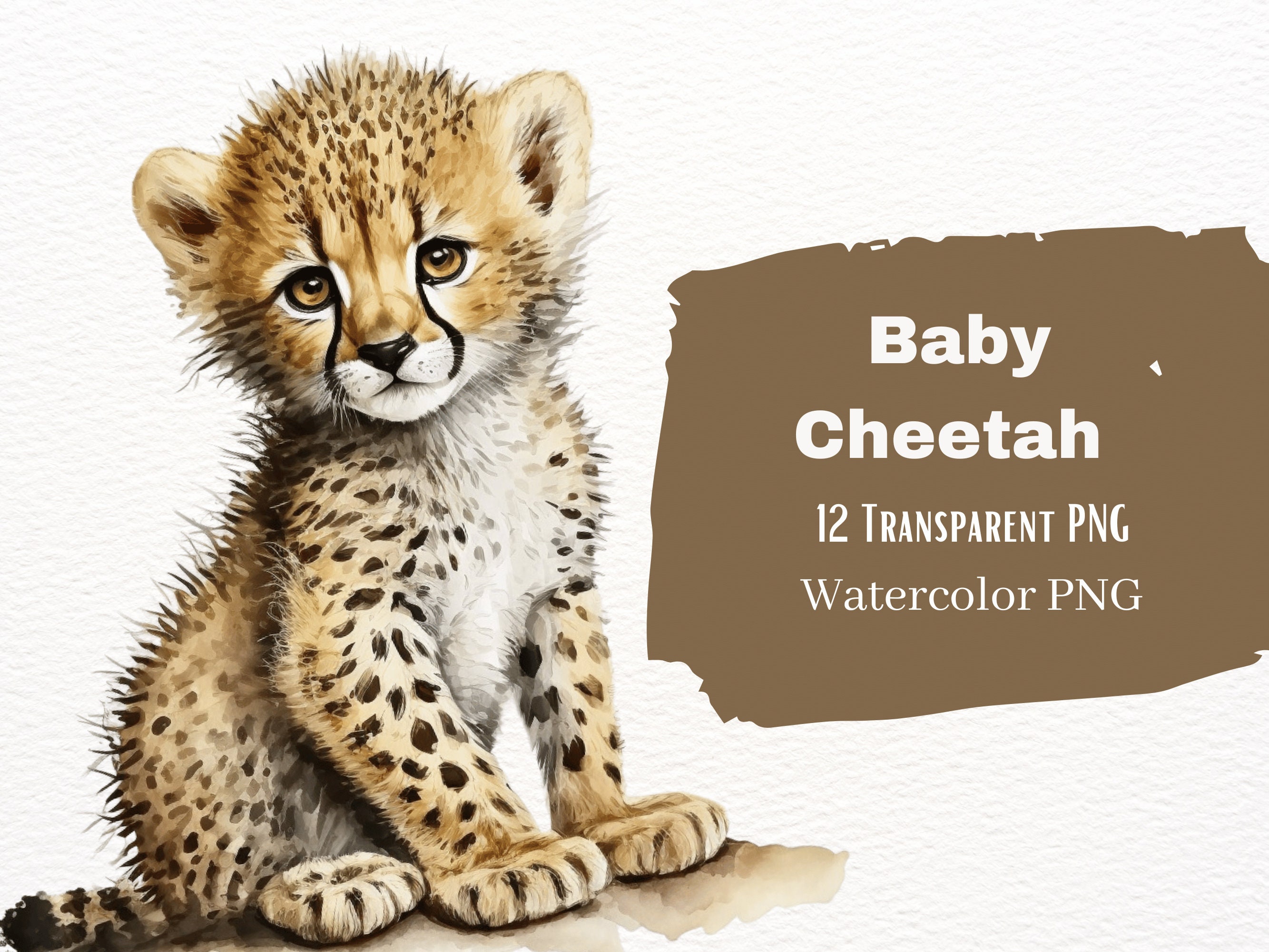 Really Cute Baby Cheetahs
