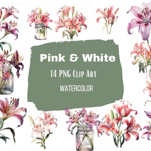 Pink and White Watercolor Tiger Lily Clipart - Lilies in PNG Format ...