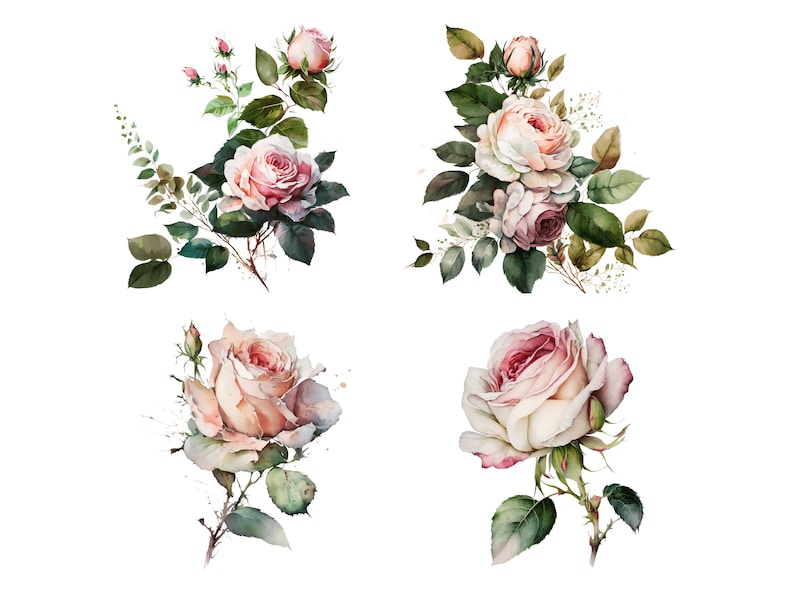Pink and White Roses Clipart | Floral PNG | Watercolor Roses PNG ...