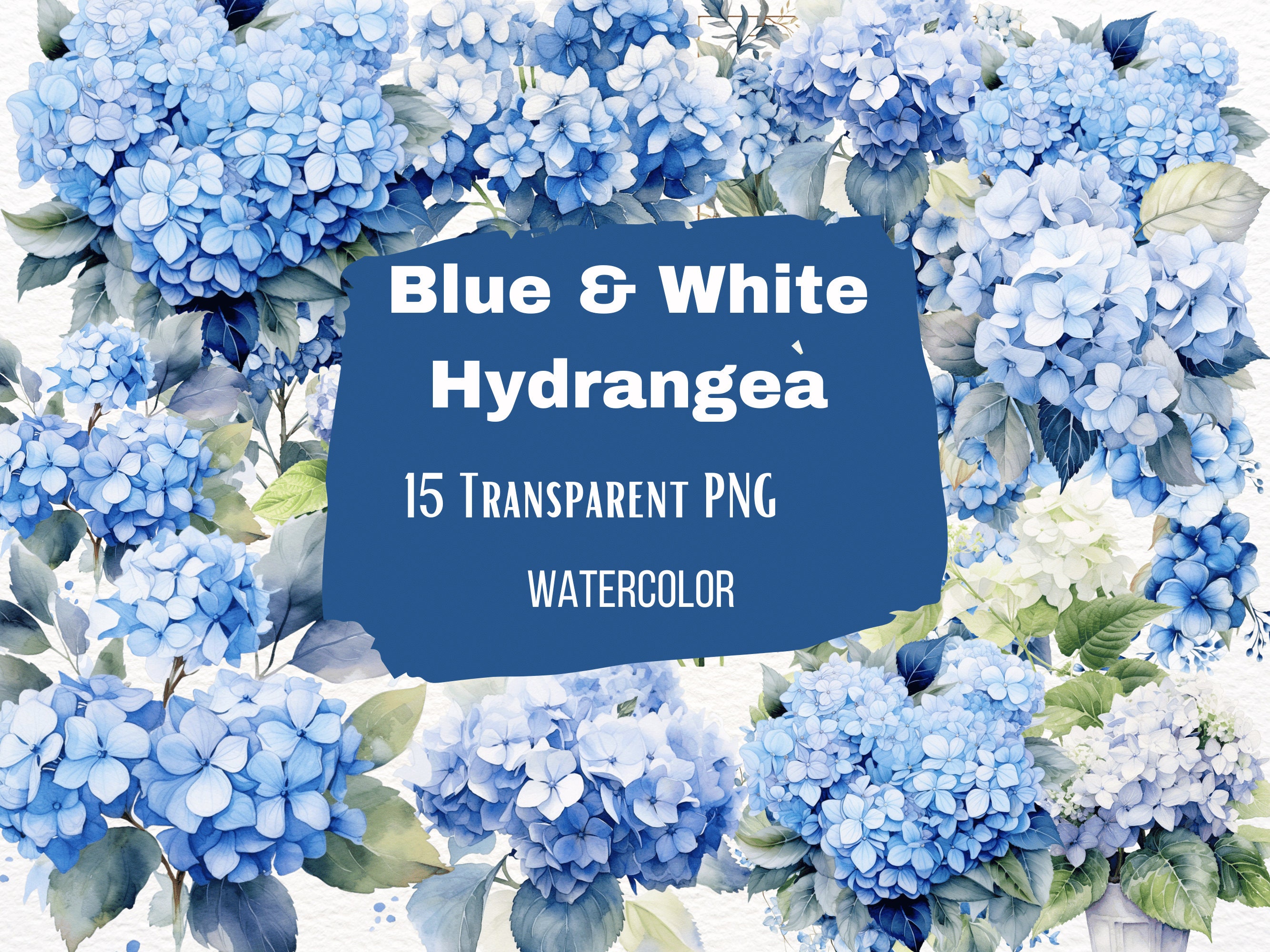 Blue and White Watercolor Floral Hydrangea Clipart Pack, Clip Art for ...