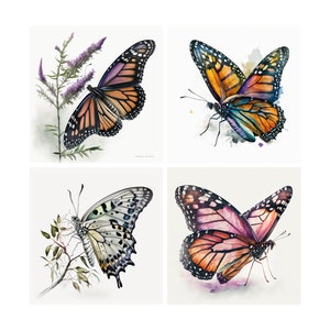 Monarch Butterfly Clipart | Watercolor Butterfly PNG | Floral Clipart ...