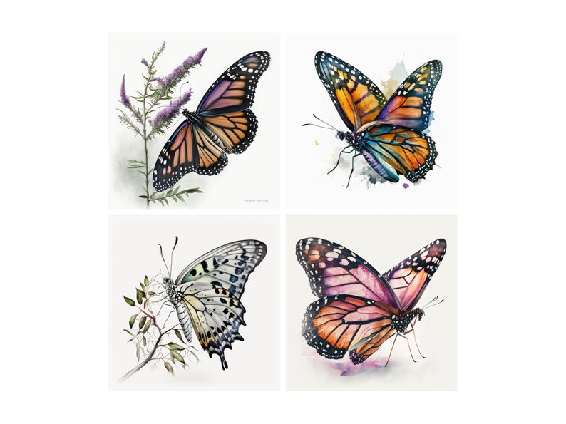 Monarch Butterfly Clipart Watercolor Butterfly PNG Floral Clipart ...
