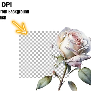 Pink and White Roses Clipart | Floral PNG | Watercolor Roses PNG ...