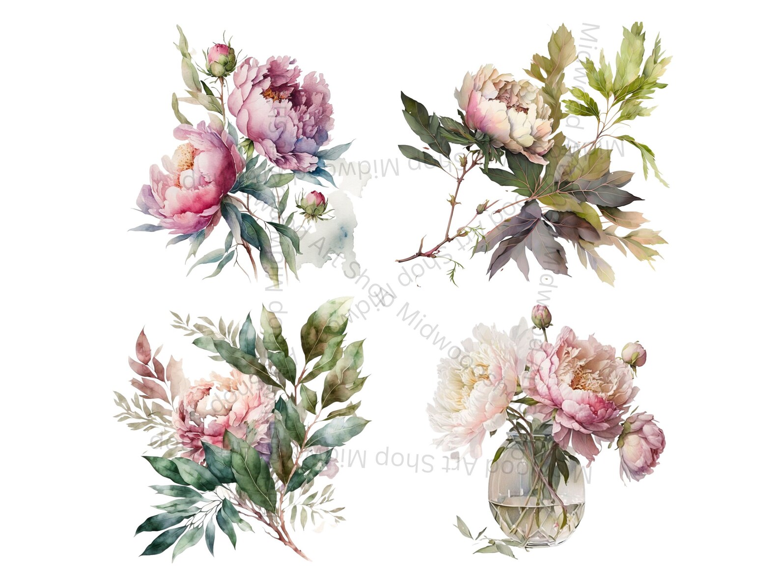 Pink & White Peonies Clipart White Flower Clipart Floral - Etsy