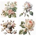 Pink and White Roses Clipart Floral PNG Watercolor Roses PNG Flowers ...