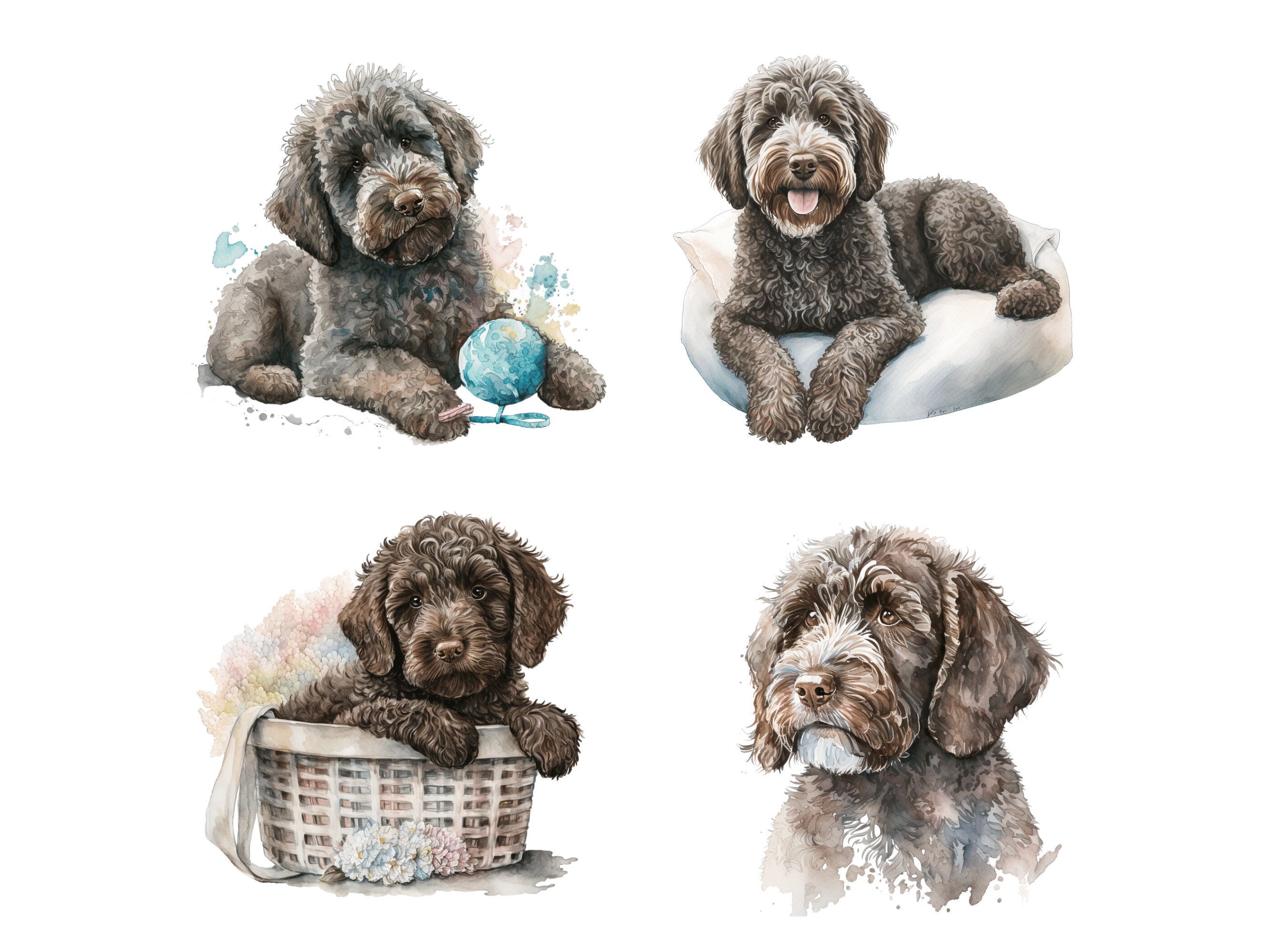 Chocolate Labradoodle Clipart Dog PNG Chocolate Goldendoodle chocolate ...