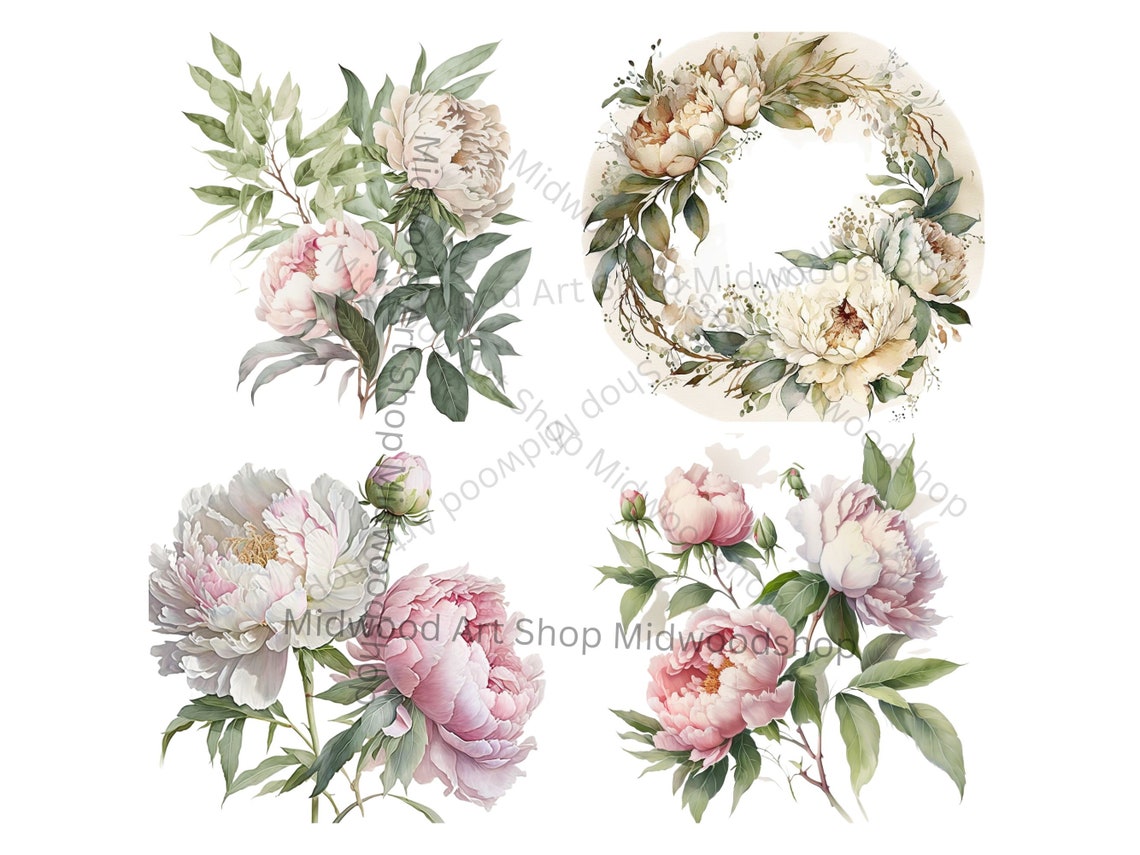 Pink & White Peonies Clipart White Flower Clipart Floral - Etsy