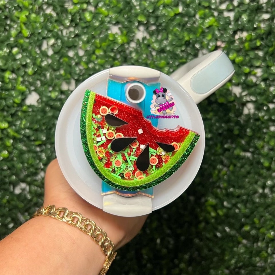 Cute Watermelon Shaker Removable Name Plate for Stanley H2.0 Quencher ...