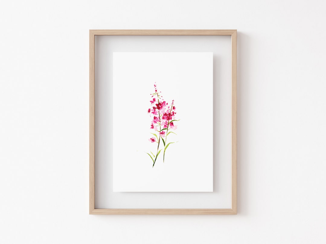 FIREWEED WILDFLOWER Watercolor Print • Minimalist Floral Wall Decor ...