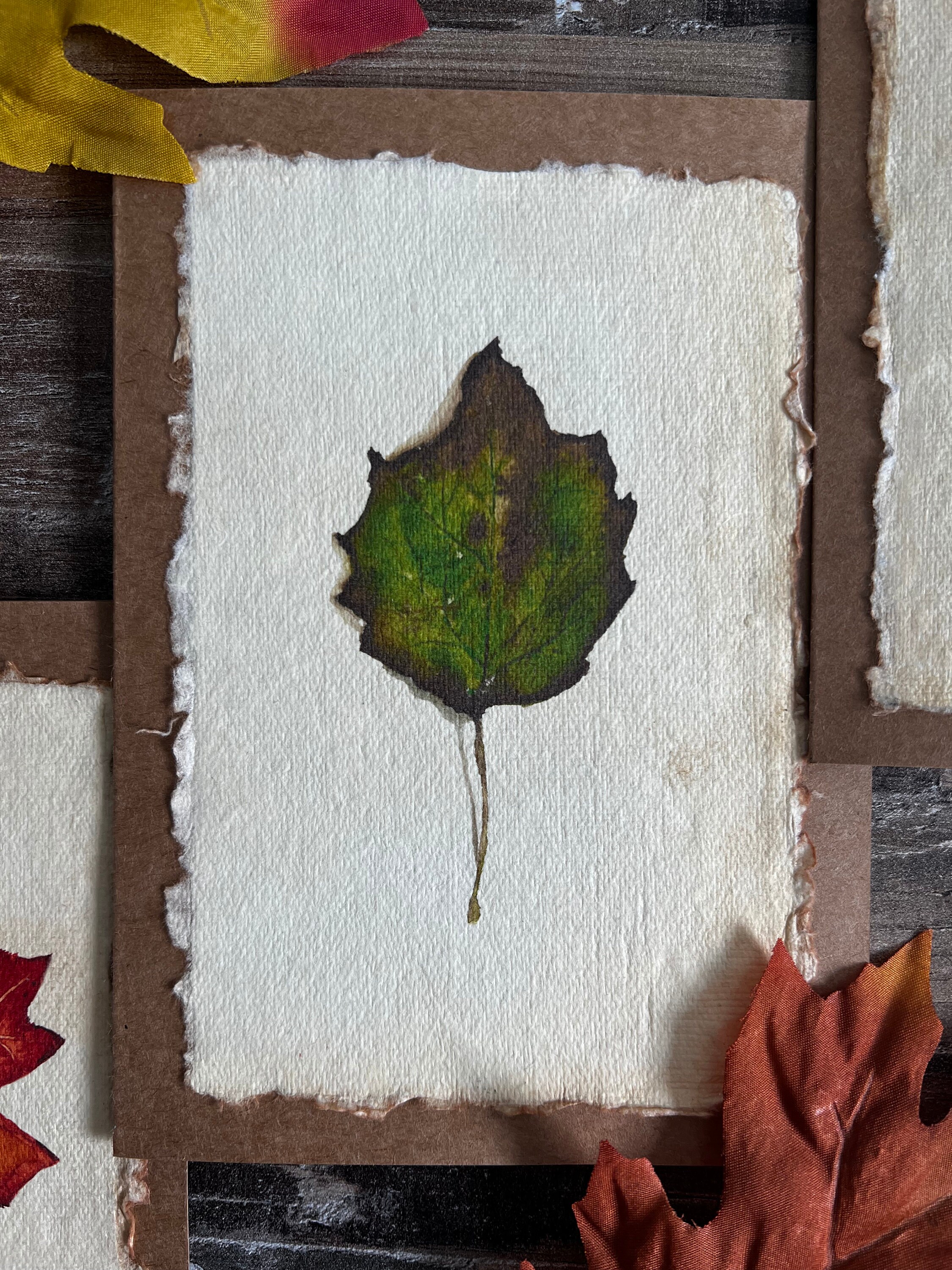 Vintage Fall Leaves Card Set • Autumn Cards • Fall Note Cards • Blank ...