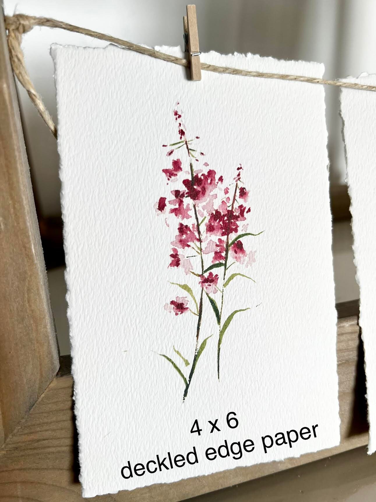 FIREWEED WILDFLOWER Watercolor Print Minimalist Floral Wall Decor Fine ...