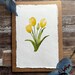 Vintage Spring Flower Watercolor Card Set Spring Cards Floral Note ...