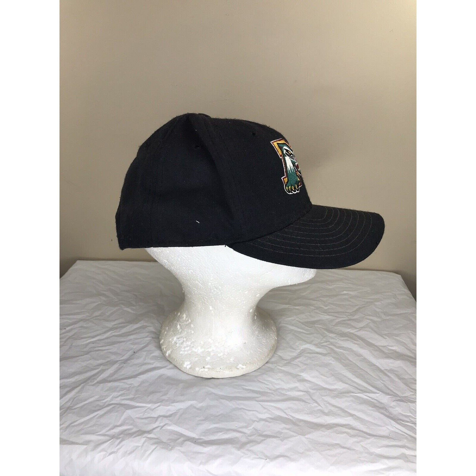Vintage Michigan Battle Cats New Era Snapback Hat Cap Milb Minor League ...