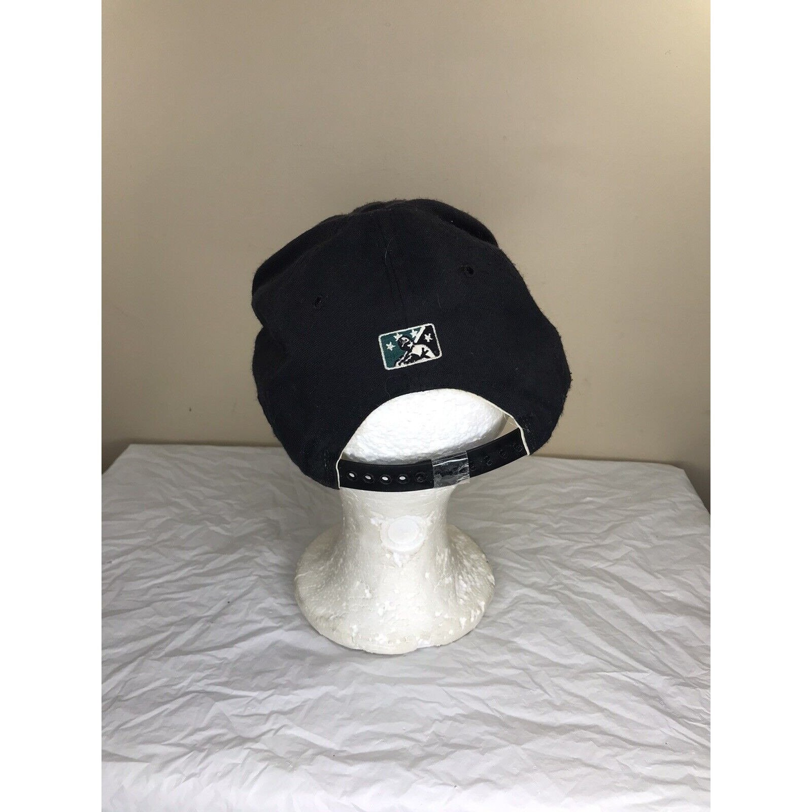 Vintage Michigan Battle Cats New Era Snapback Hat Cap Milb Minor League ...