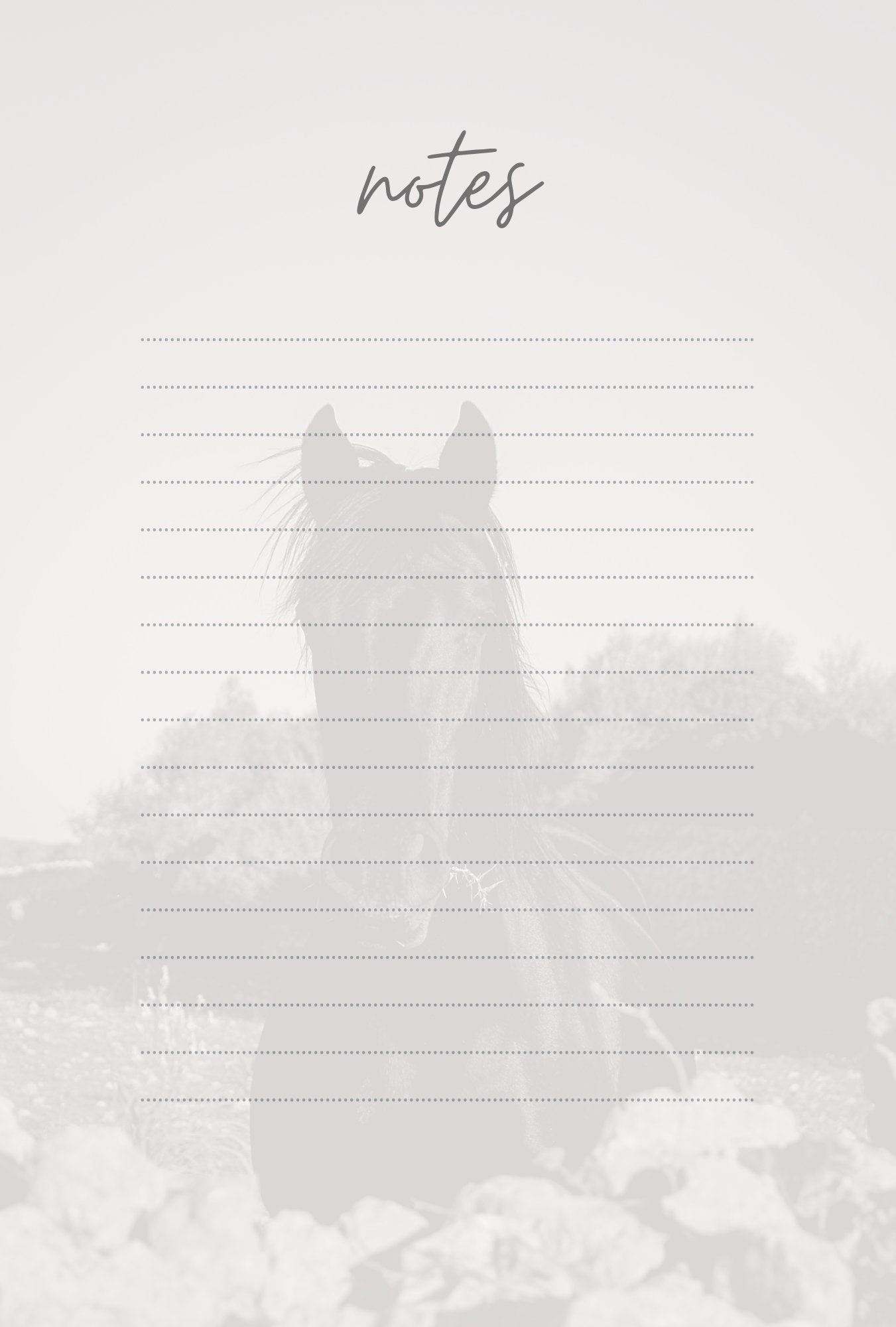 The Horse Rider's Lesson Notes - Spiral Bound Riding Lesson Tracker ...