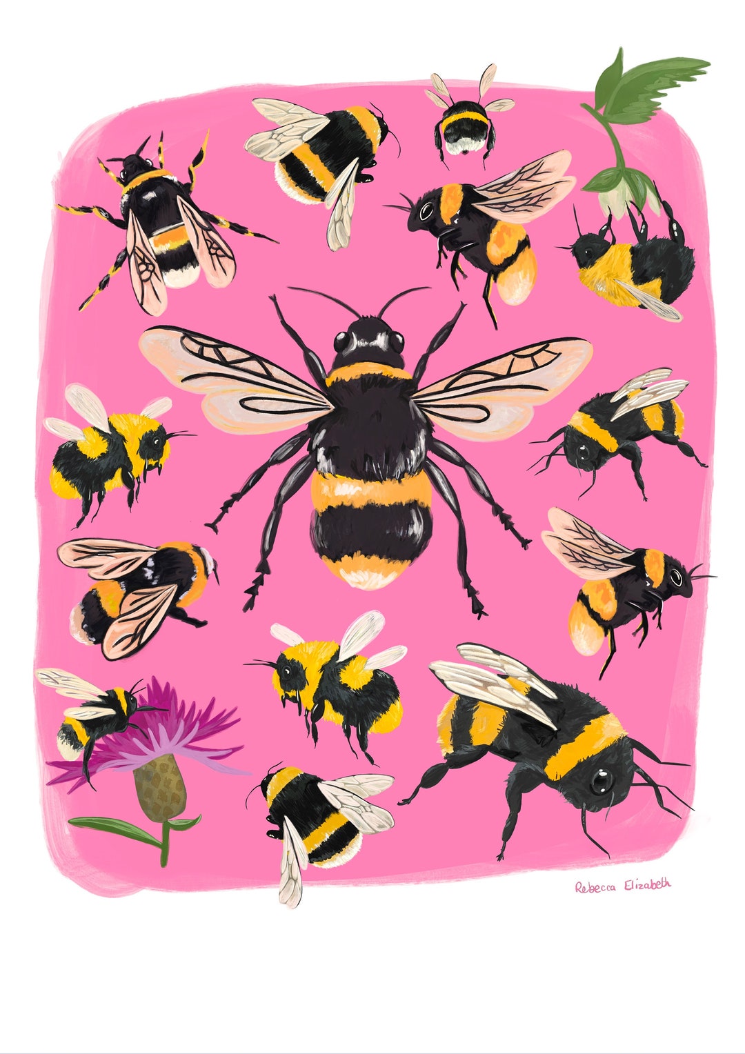 Bumblebee Art Print, Bees Illustration, Insect Wall Art - Etsy