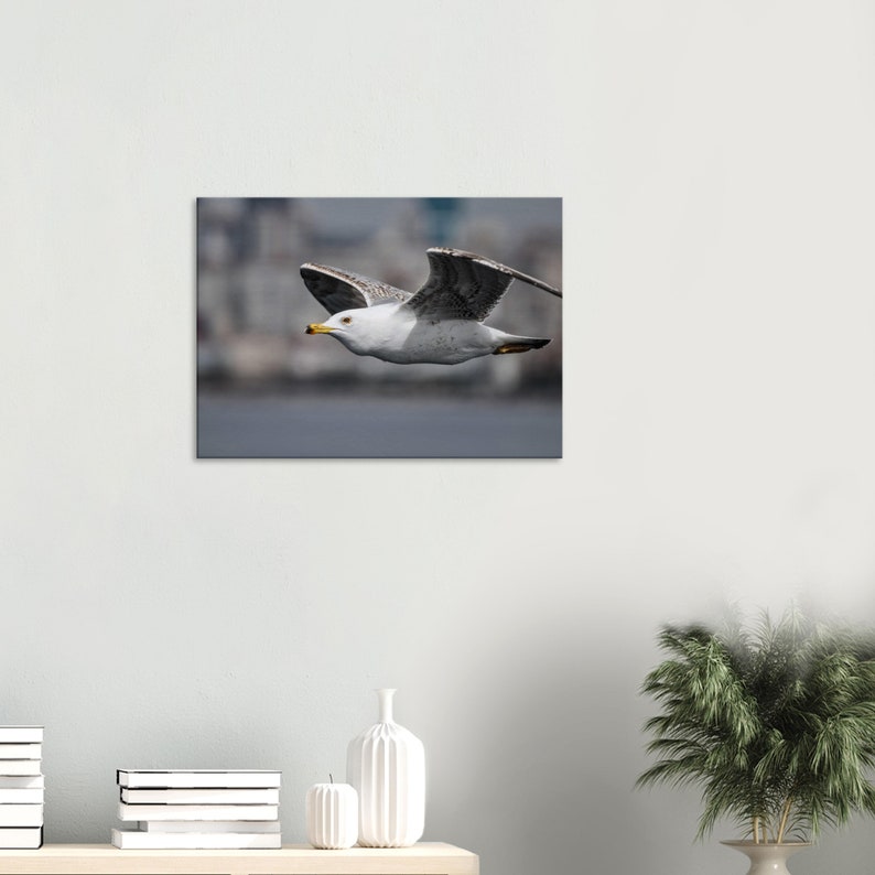 Flying Seagull Printable Wall Art, Graceful Coastal Home Decor, Nature ...