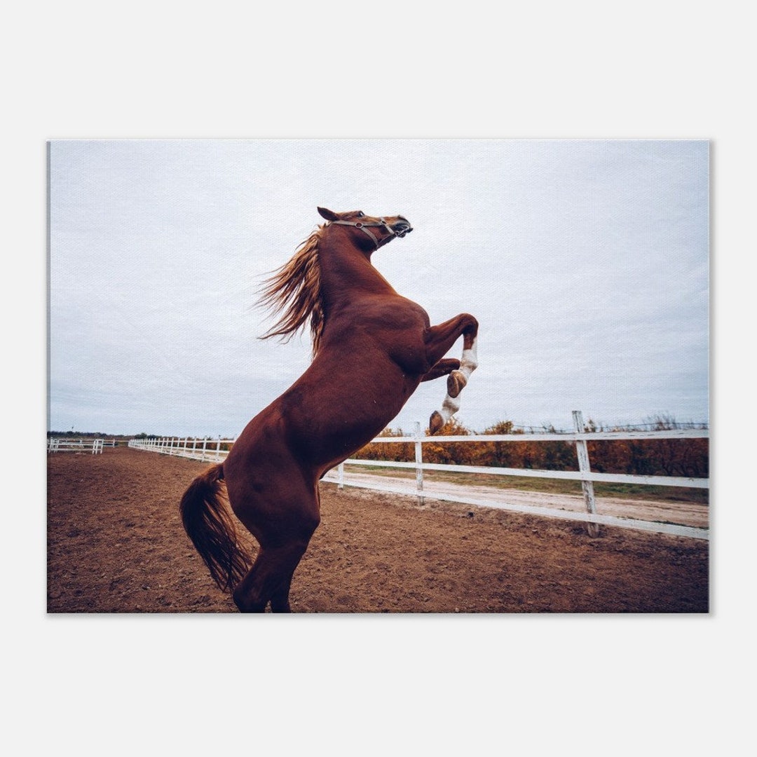 Red Horse Rearing Up, Canvas Wall Art, Home Decor, Horse Lover Gift - Etsy
