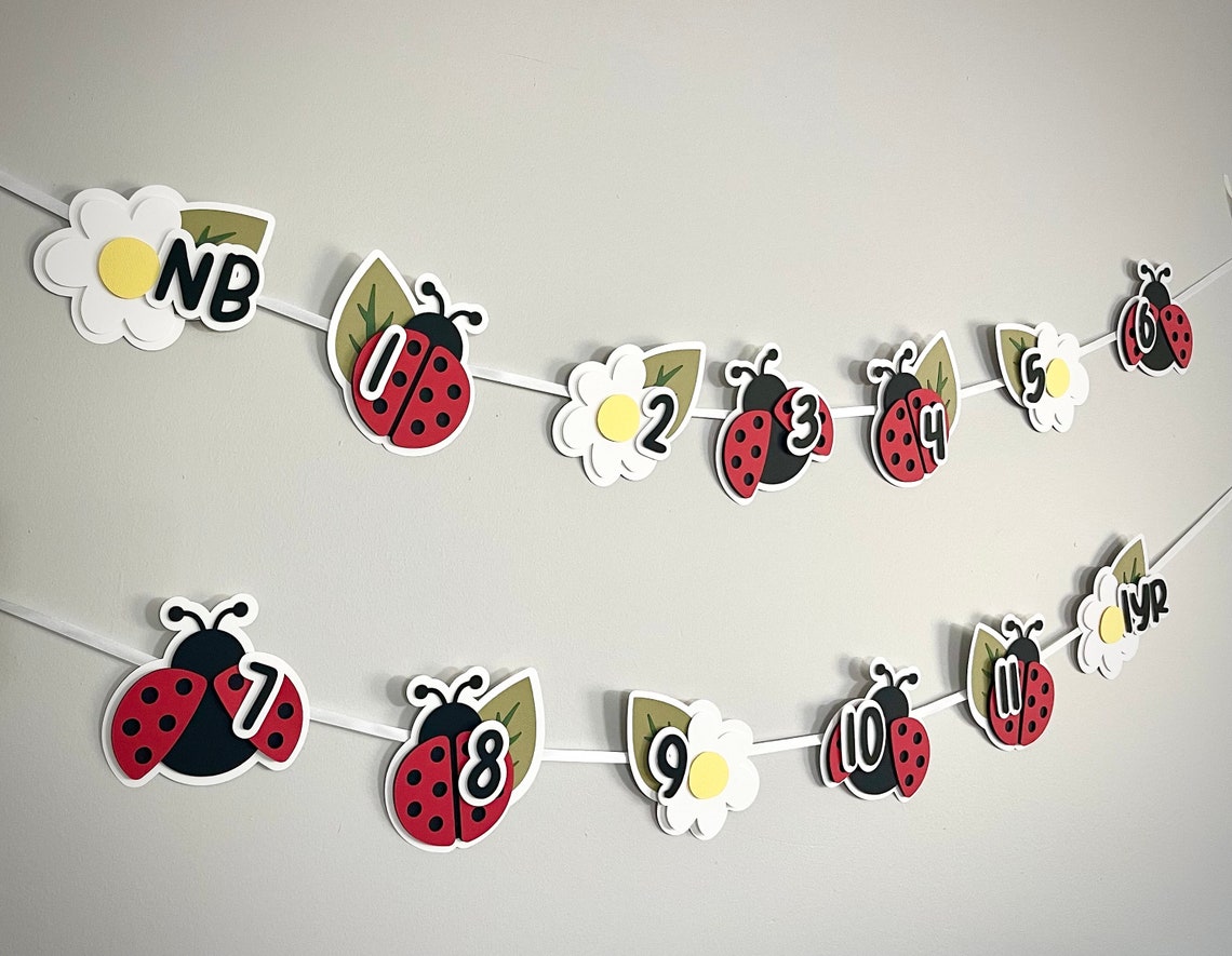 Ladybug First Birthday Picture Banner. Ladybug Milestone Photo Banner ...