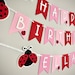 Ladybug Happy Birthday Banner Personalized. Ladybug Party Decorations ...