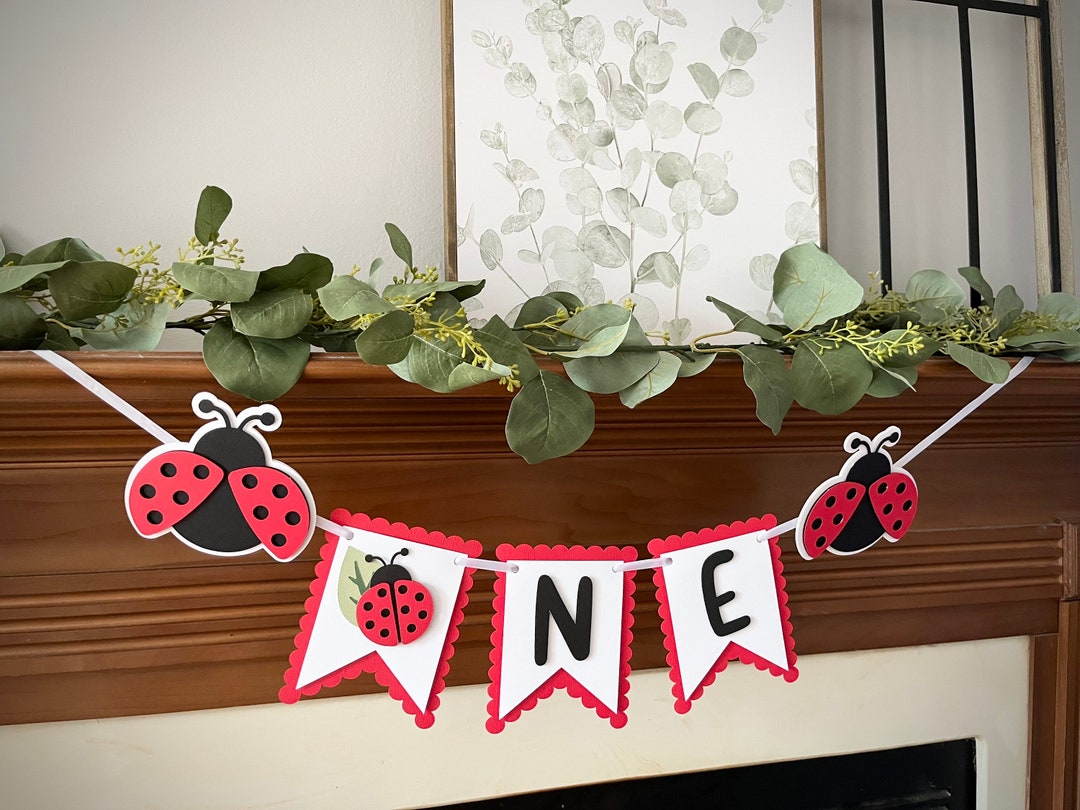 Ladybug First Birthday Highchair Banner. Girl Ladybug Banner. Ladybug ...