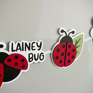 Ladybug Birthday Party Decorations. Ladybug Birthday Banner. Decorative ...
