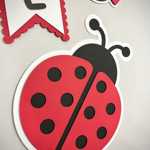 Giant Ladybug Die Cut Party Decorations. Lady Bug Birthday Party ...