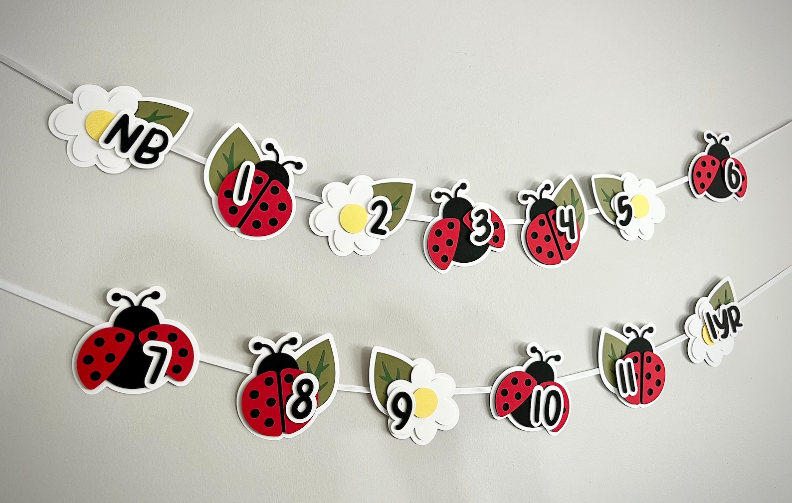 Ladybug First Birthday Picture Banner. Ladybug Milestone Photo Banner ...