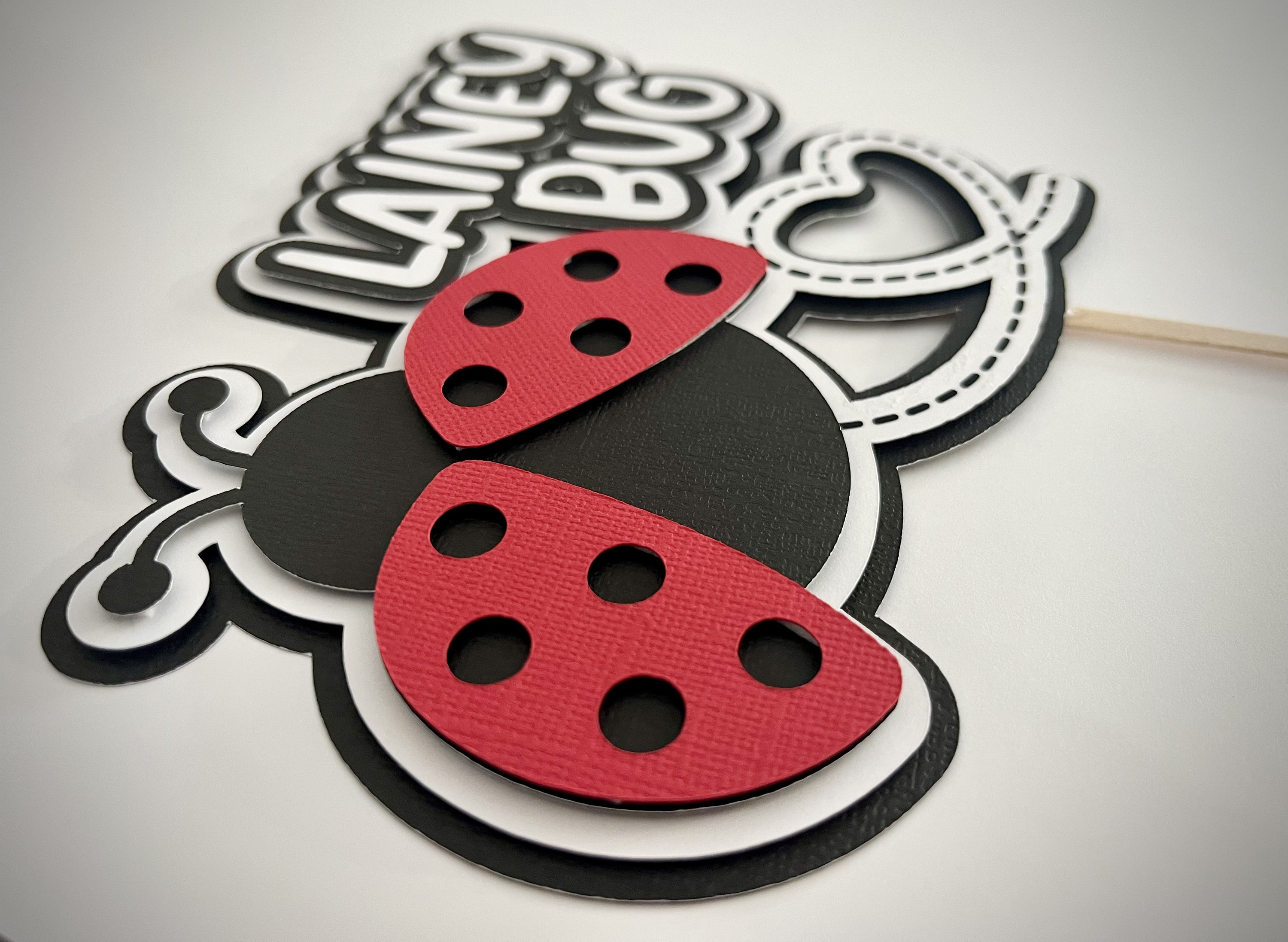 Ladybug Birthday Party Cake Topper. Personalized Ladybug Cake Topper ...
