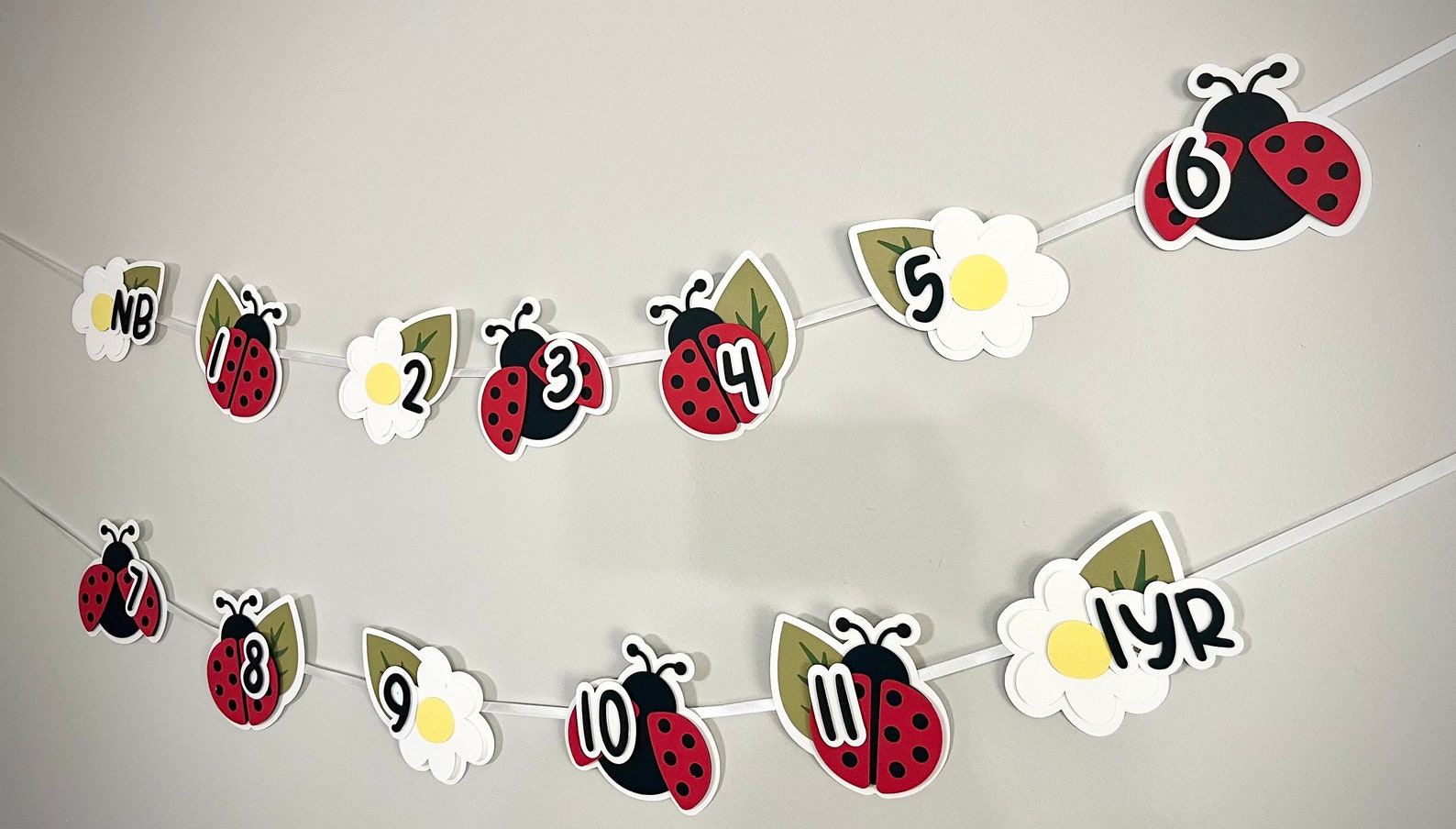 Ladybug First Birthday Picture Banner. Ladybug Milestone Photo Banner ...