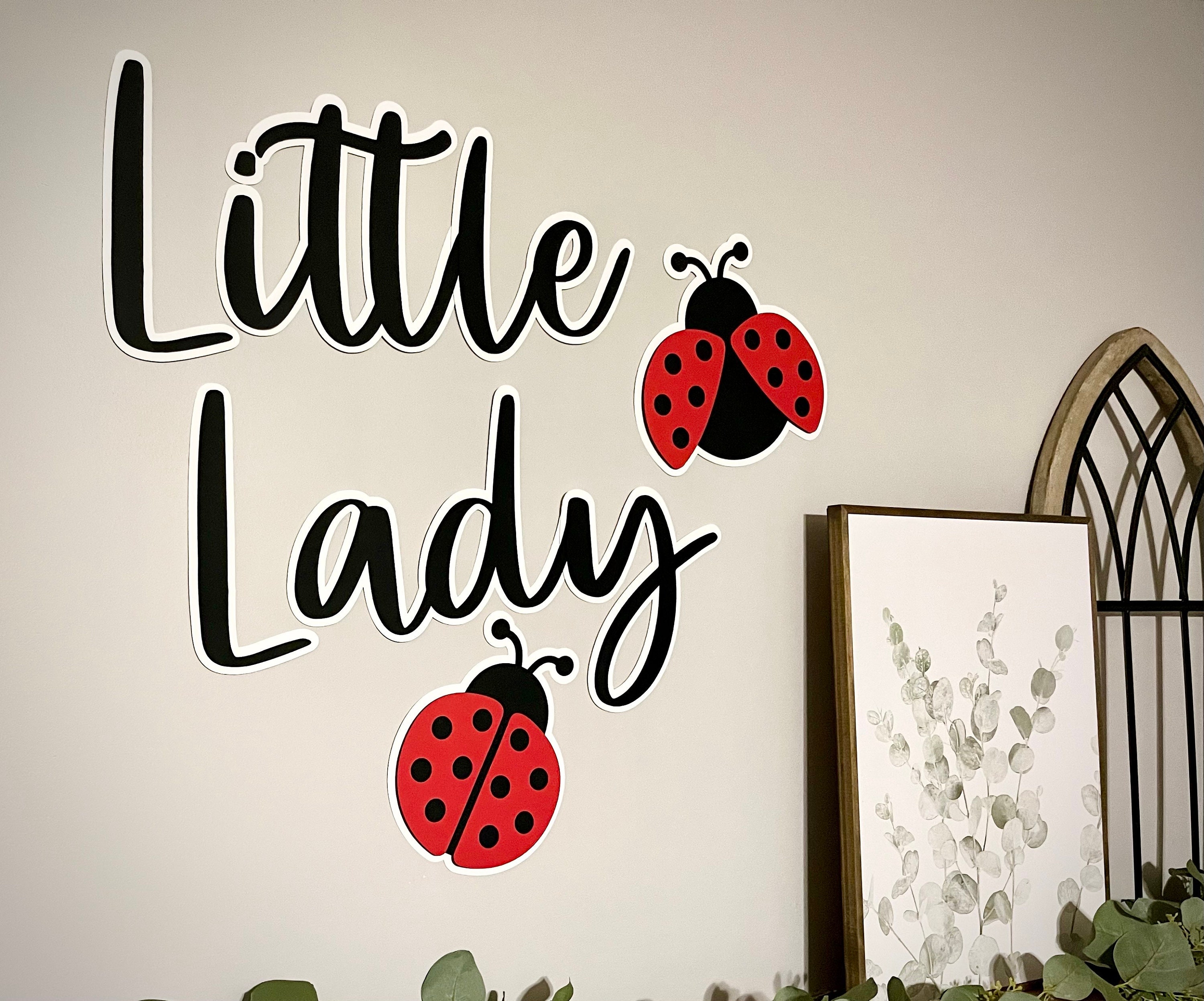 Ladybug Little Lady Banner Sign for Birthday Party. Love Bug Sign ...