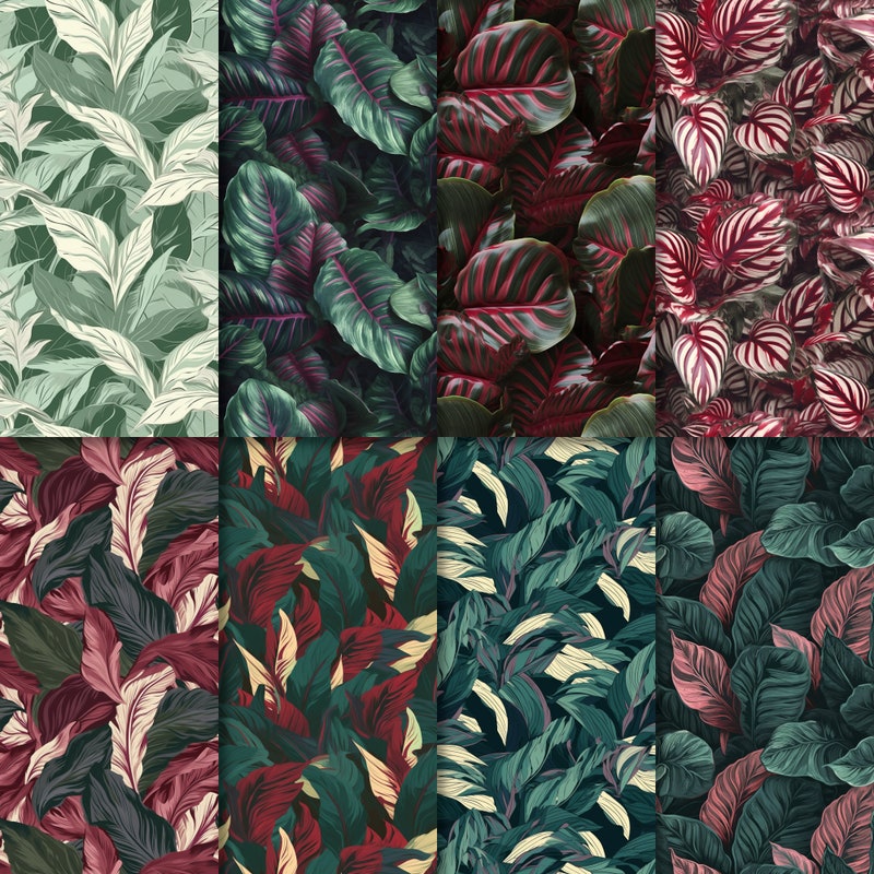 Calathea - Etsy