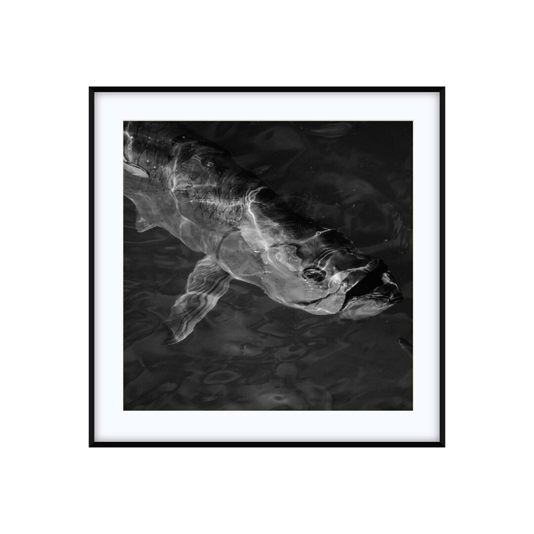 Coastal Decor | Black and White Photography | Nautical Print Wall Art ...