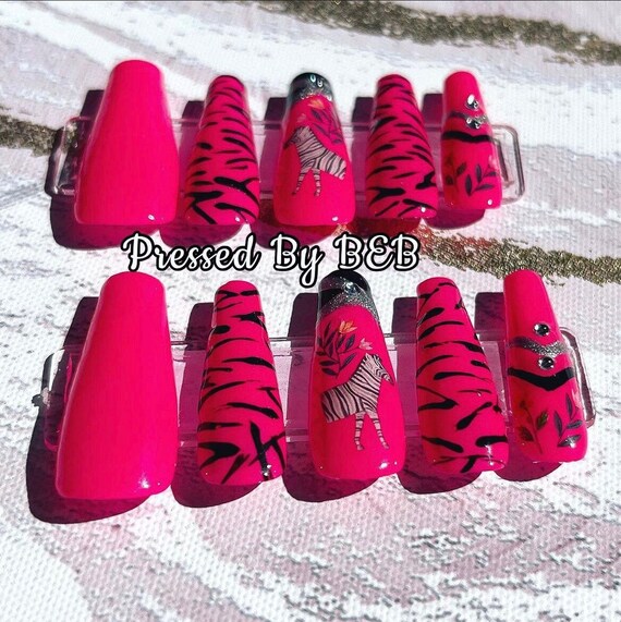 Pink Zebra B