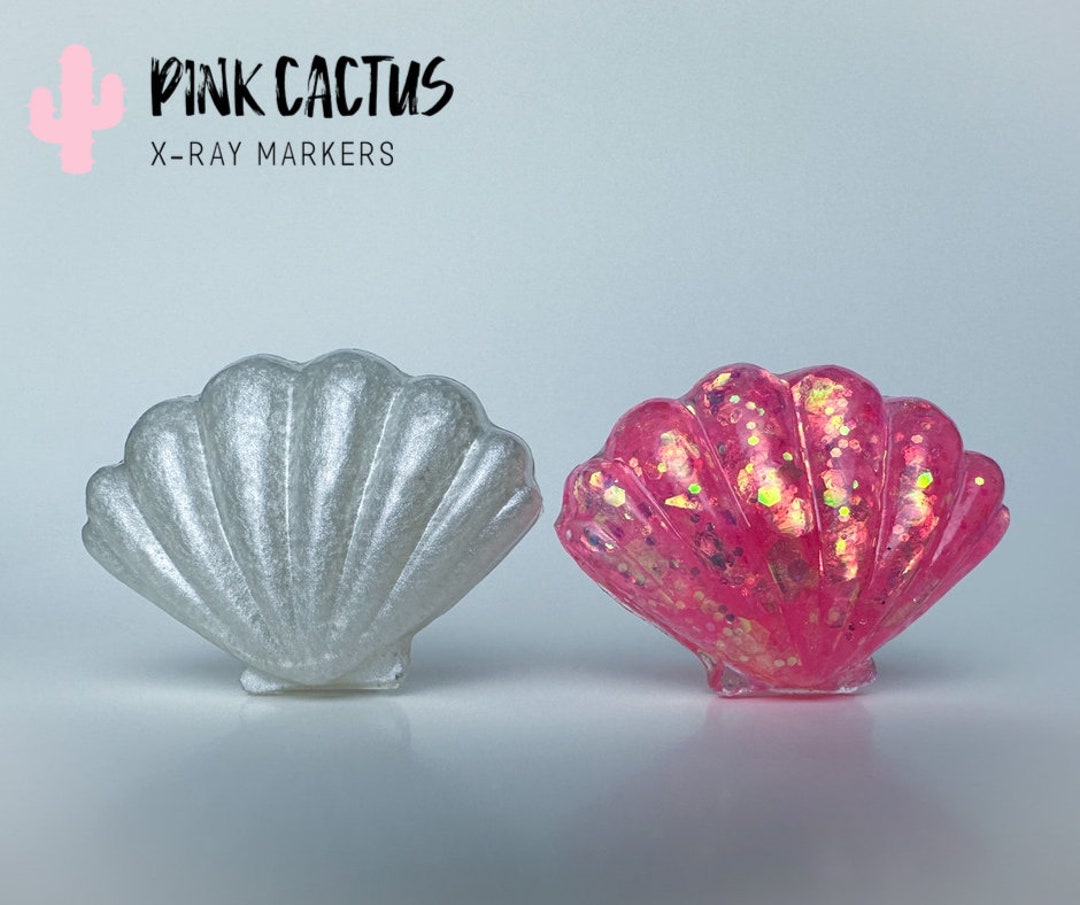 Seashell X-ray Markers - Etsy