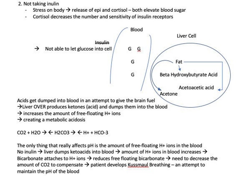 DKA DI & SIADH Study Sheet/ Pathophysiology for Rns - Etsy