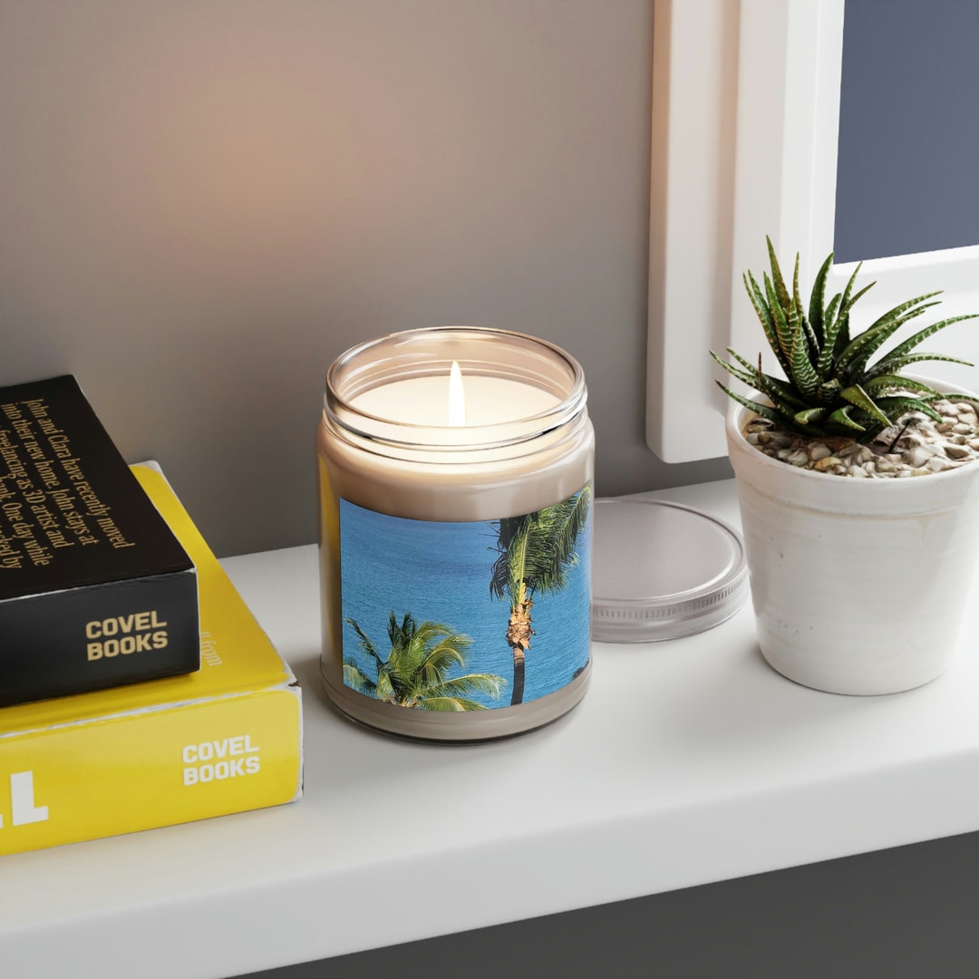 Scented Candles, 9oz, Blue Sky Palm Tree. Palm Tree Candle. Decorative ...