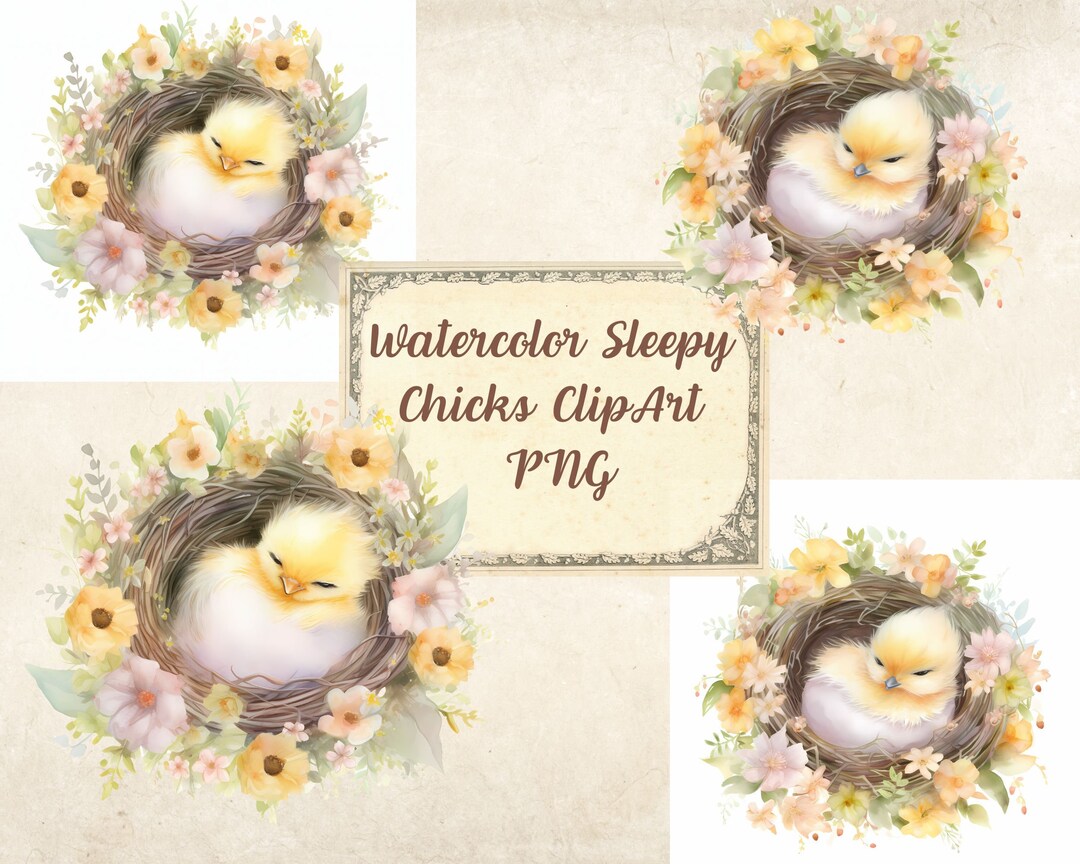 Watercolor Chicks in Nests Clip Art, 4 White Background,4 Transparent ...