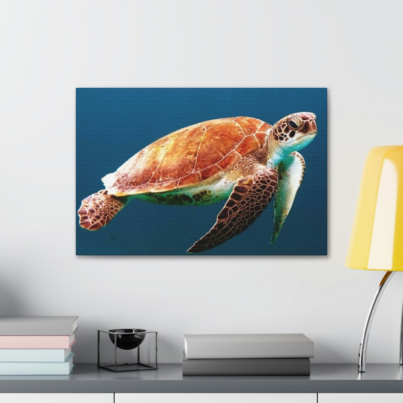 Sea Turtle Canvas Gallery Wraps, Turtle Canvas, Sea Turtle Ocean ...
