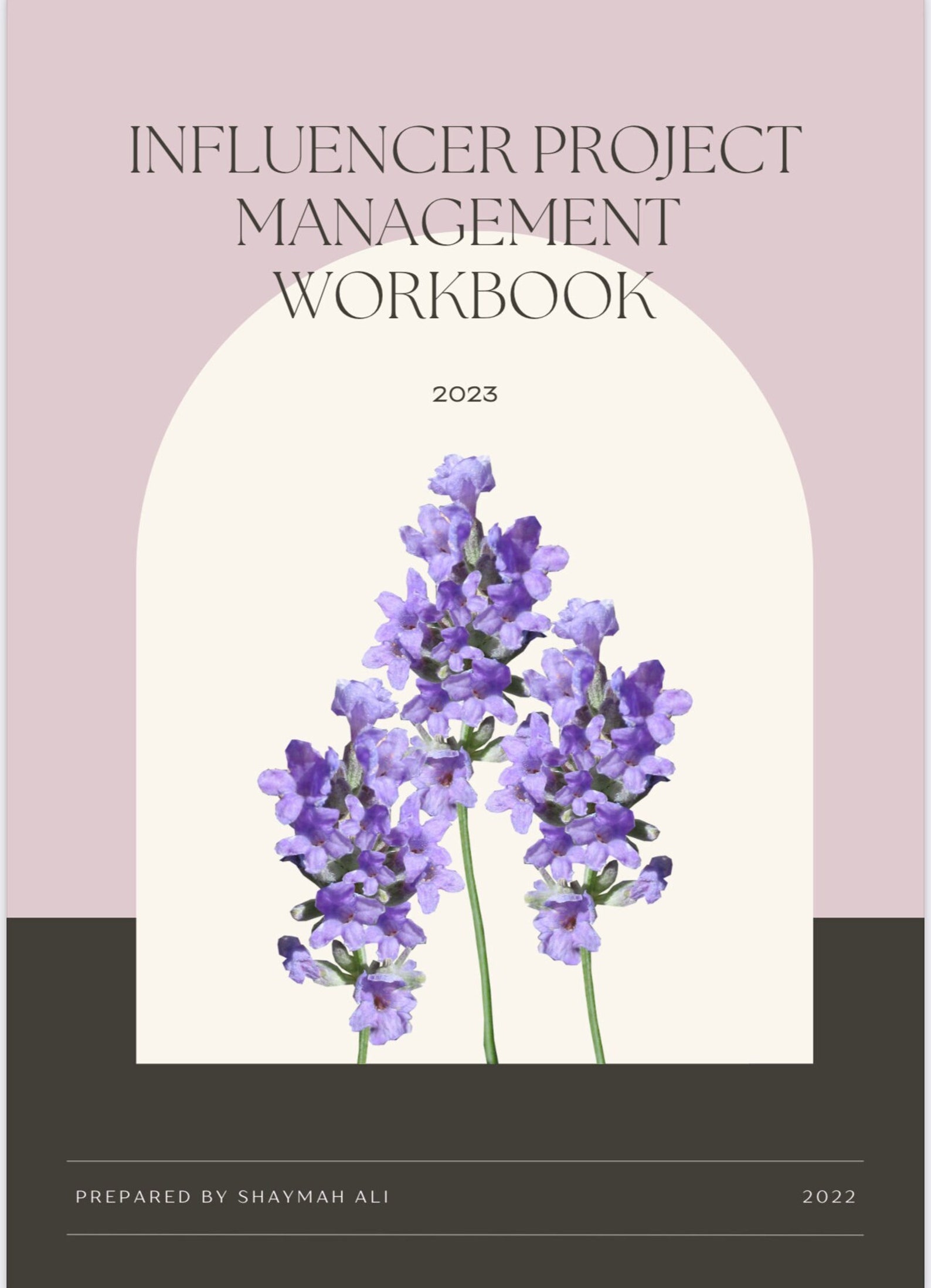 Influencing Project Management Workbook - Etsy