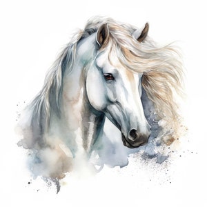 Watercolor White Horses Clipart, Horse Clip Art, Animal Clipart, Horses ...