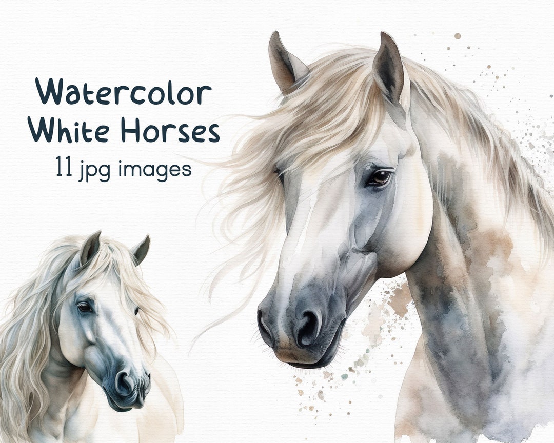 Watercolor White Horses Clipart, Horse Clip Art, Animal Clipart, Horses ...