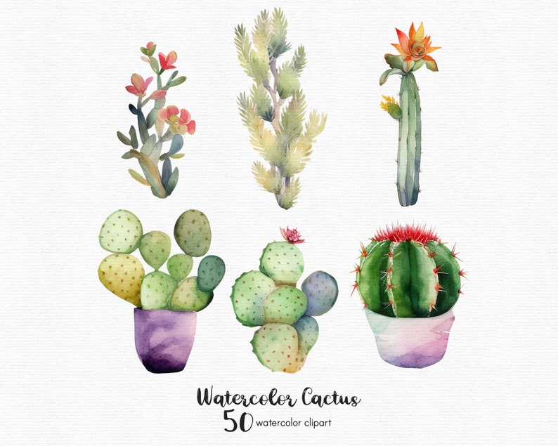 Cactus Clipart, Flower Clipart, 50 Png Files With Transparent ...