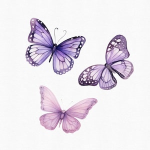 Purple Butterfly Clipart, Flowers Clipart, 50 Png Files With ...